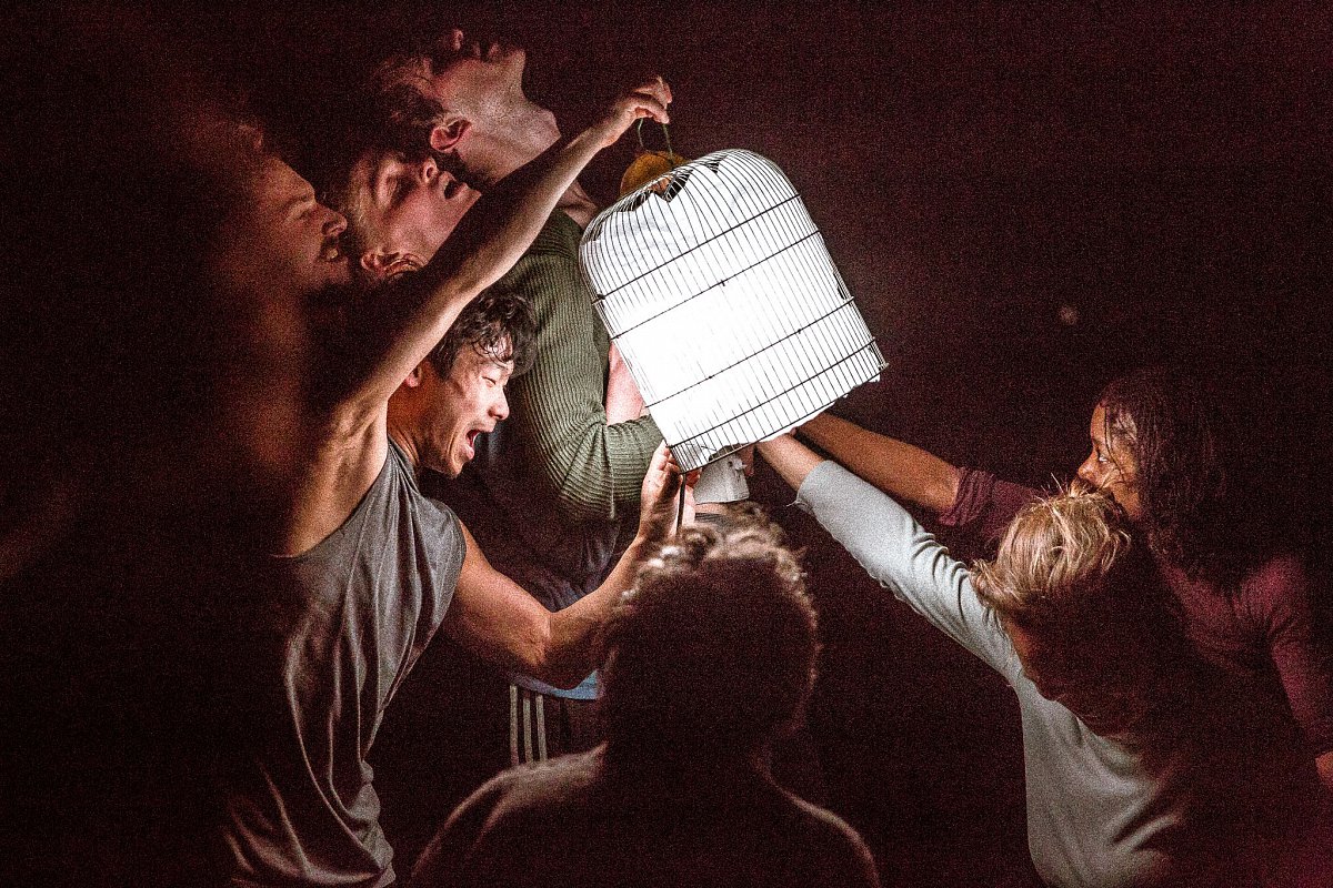 Programme | Archa Theatre